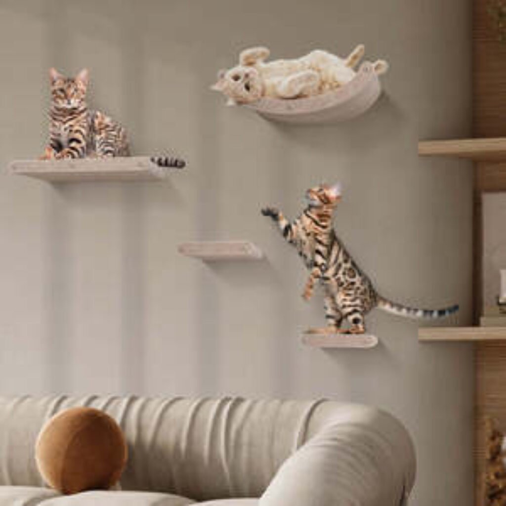 FREE Curved Cat Climber (worth $89!) with any order $250 or more – Dollaroo